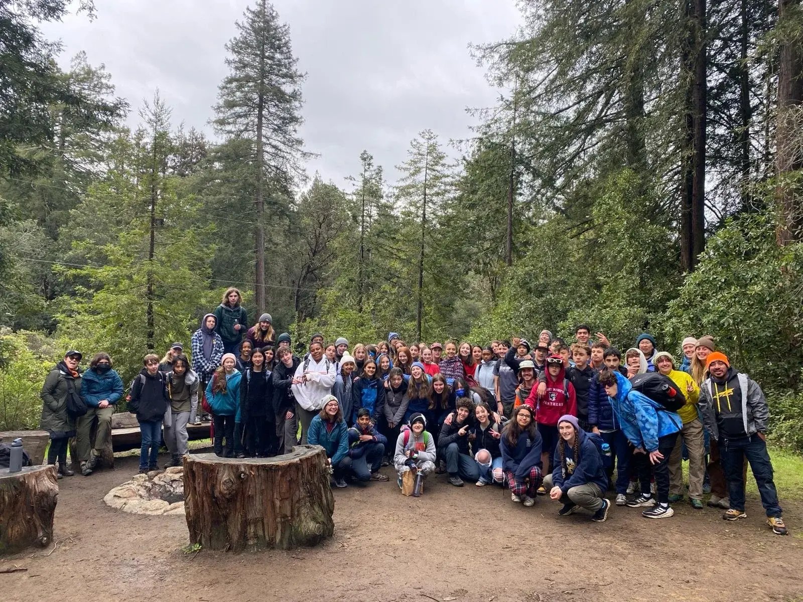 Why Your School Needs More Field Trips (and Less Screen Time ...